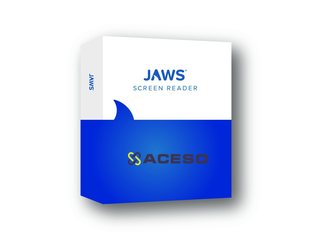 JAWS for Windows - программа экранного доступа