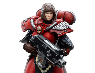 Сестра Битвы Ордена Кровавой Розы Лонелль (Warhammer 40k ...