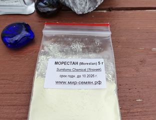 Морестан (Morestan)