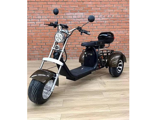 Электробайк Gbike Pro Trike - купить на официальном сайте GBIKE