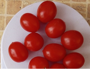 Томат Преподобный Майкл Кейес (Reverend Michael Keyes) - Томатный мир