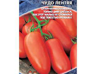 Томат Чудо Лентяя