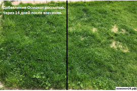 Осмокот удобрение купить в интернет-магазине - Цена от 290 р. (Osmocote)