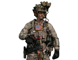 Спецназ ВМС США - КОЛЛЕКЦИОННАЯ ФИГУРКА 1/6 SCALE NSWDG NAVAL SPECIAL ...