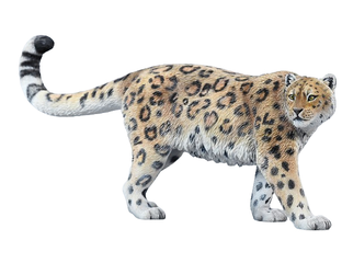 Снежный барс (рыжий) - Коллекционная фигурка 1/6 Snow leopard (JXK228B ...