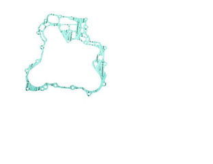 Прокладка крышки генератора оригинал BRP 420431640 для BRP Can-Am/Ski ...