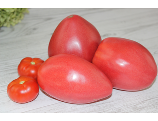 Красные и розовые сорта томатов - Rosii Giant inima de bivol Roz Opal