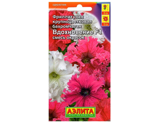 Фриллитуния Вдохновение