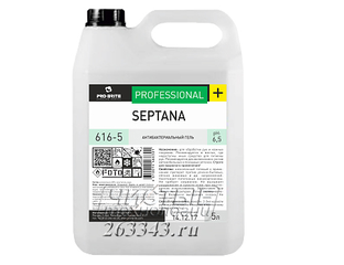 Про-брайт Septana 616-5 - антибактериальный гель для рук в наличие в ...