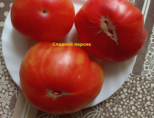 Томат Сладкий Персик (Sweet Peach, США) - Томатный мир