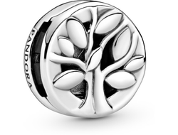 Шармы Пандора - Пандора Reflexions