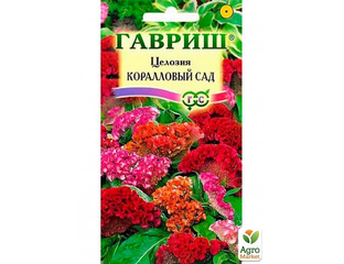 Целозия Коралловый сад