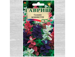 Сальвия Конфетти