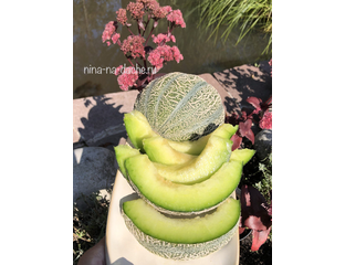 Дыня Американский ананас / Ananas D’Amerigue A Chair Verte
