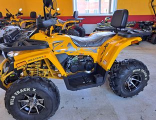 MOTOLAND ATV 200 WILD TRACK X PRO
