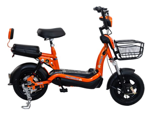 Электровелосипед Elbike Dacha 20 купить в Москве у официального дилера