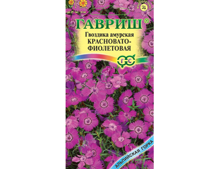 Гвоздики - Гвоздика Амурская красновато-фиолетовая Гавриш