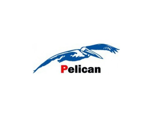 Лодки надувные (ПВХ) - Гребные лодки Pelican Пеликан