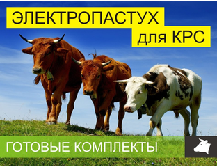 Купить электропастух для коров, цена на электропастух для крс в Москве ...