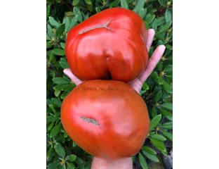 Рубиновый сюрприз / Ruby surprise