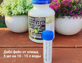 Дабл Фейс 5 мл