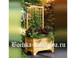 кашпо для вьющихся растений