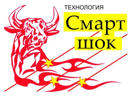 ЭЛЕКТРОПАСТУХ СТАТИК-3М / О ПРОДУКЦИИ