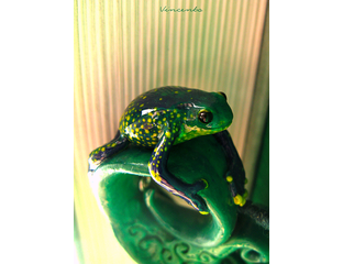 Подвеска Лягушка. Подвеска экзотическая лягушка. Кулон лягушка. Кулон в ...