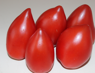 Красные и розовые сорта томатов - Сосок Венеры (Teton de Venus, Франция).