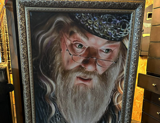 Props from "Magic school: philosophy stone" - Dumbledore door painting