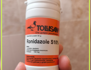 Ronidazole S10% - Моя компания