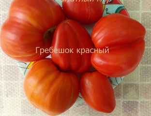 Томат Гребешок красный - Томатный мир