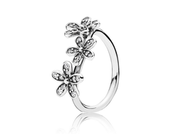 Кольца Пандора