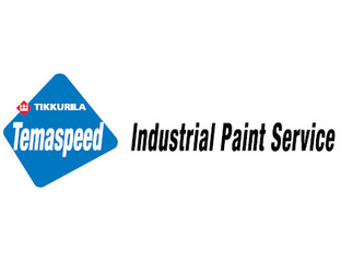 Система колеровки Temaspeed