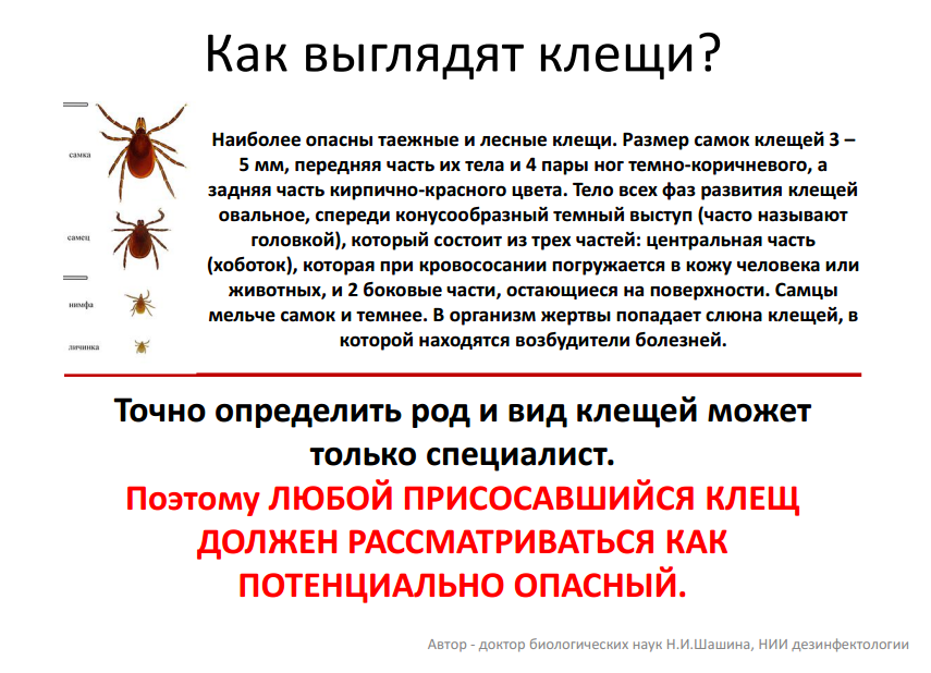Обработка от клещей - цена г.Пенза
