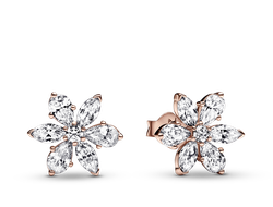 Серьги Пандора