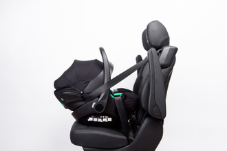 carrello vector seashell beige