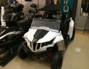 Багги Applestone UTV 150 купить в Челябинске по низким ценам