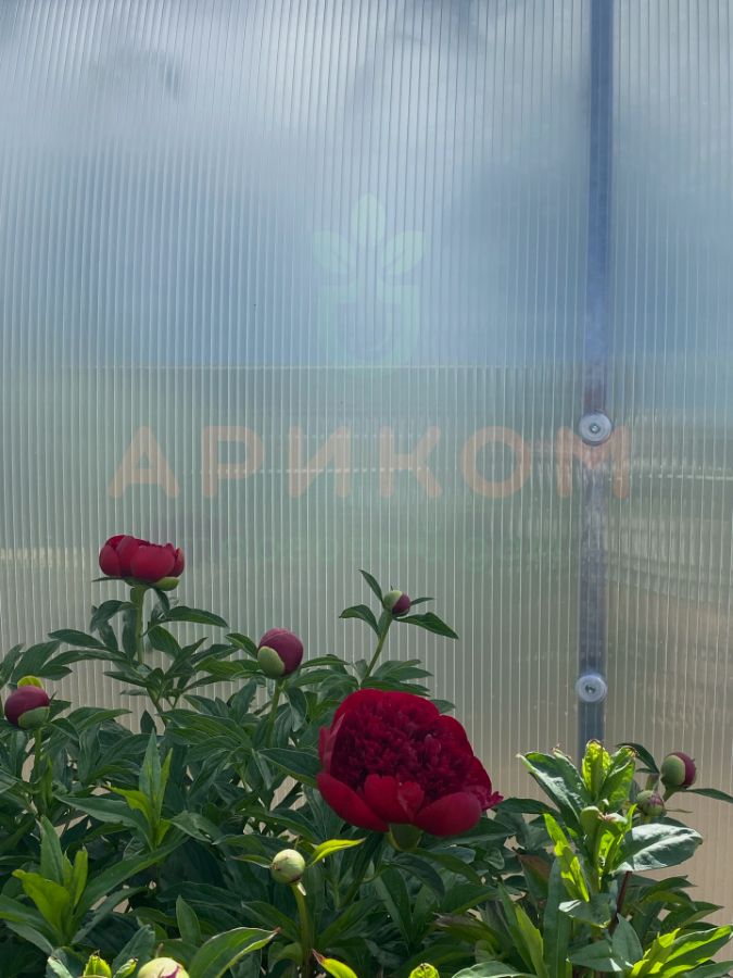 Купить теплицу из поликарбоната в Перми недорого, цены в интернет ...