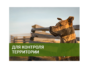Электронный забор (для Собак) Купить | Trainertec